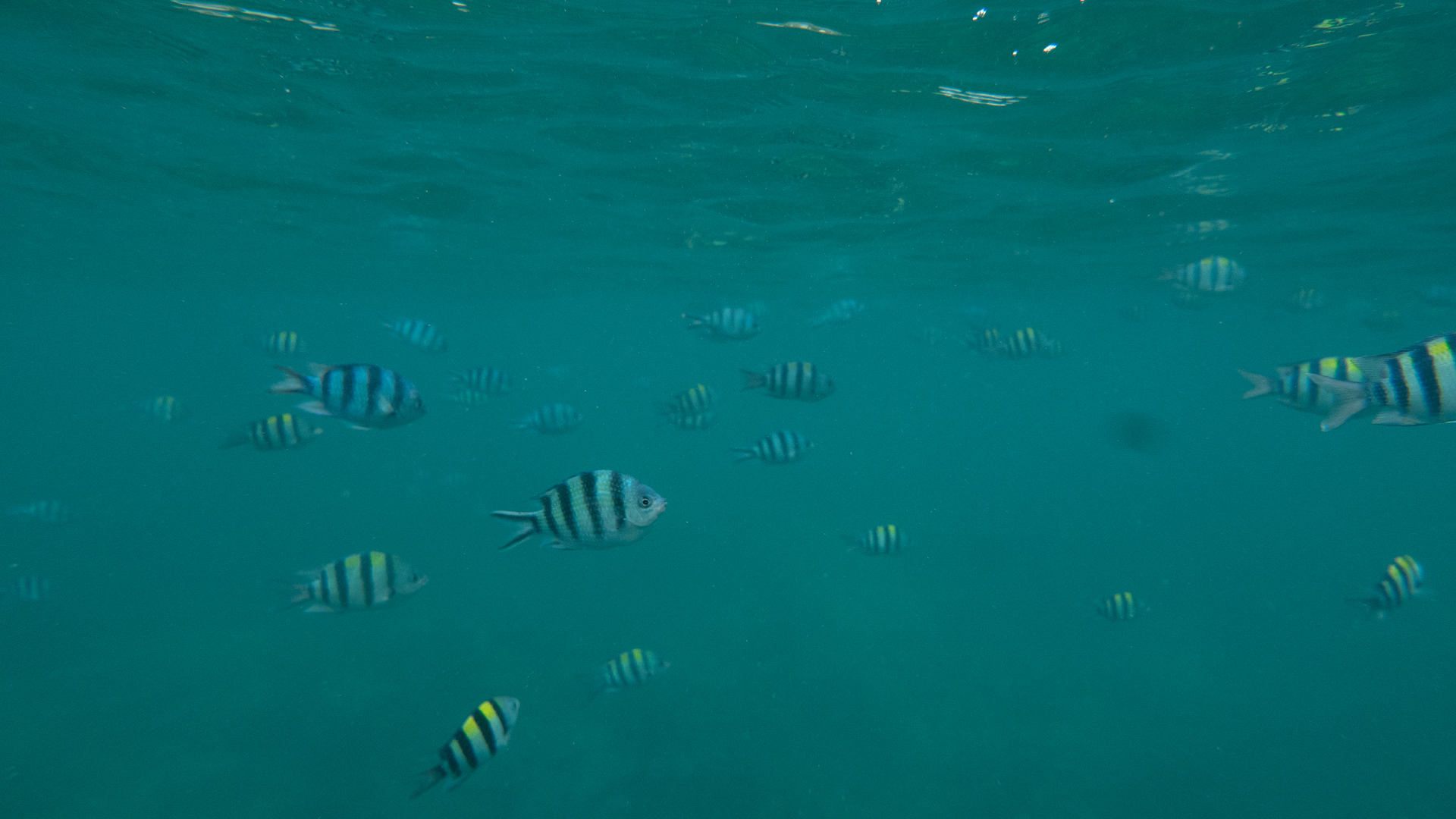 How to detect poorly exposed images, why it matters and how to improve ...