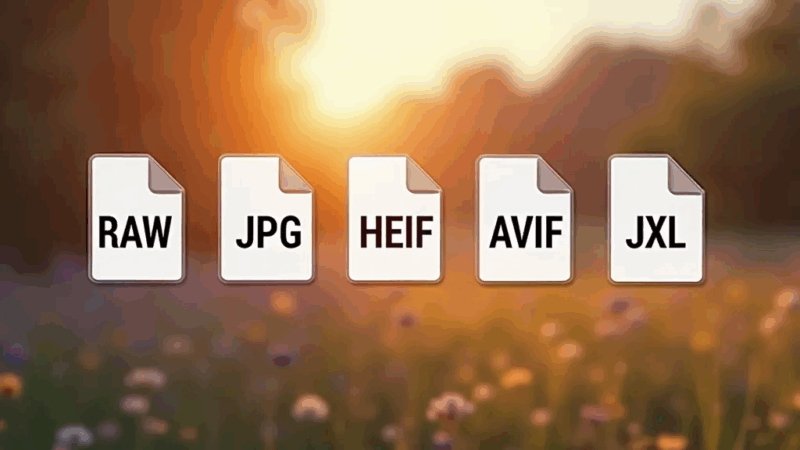 Understanding Photo File Formats in 2025: JPEG, RAW, HEIC, AVIF, JPEG XL… and Beyond – Tristan ...